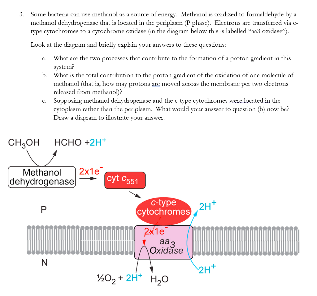Solved 3. a. Some bacteria can use methanol as a source of | Chegg.com