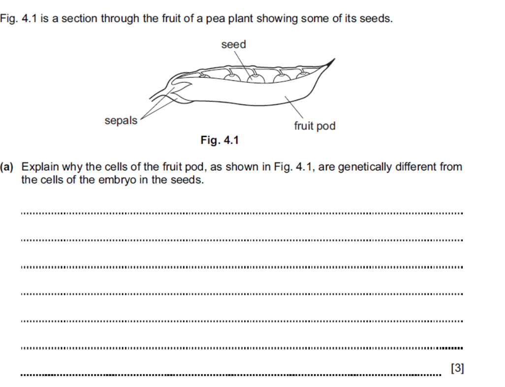 Solved Fig. 4.1 is a section through the fruit of a pea | Chegg.com