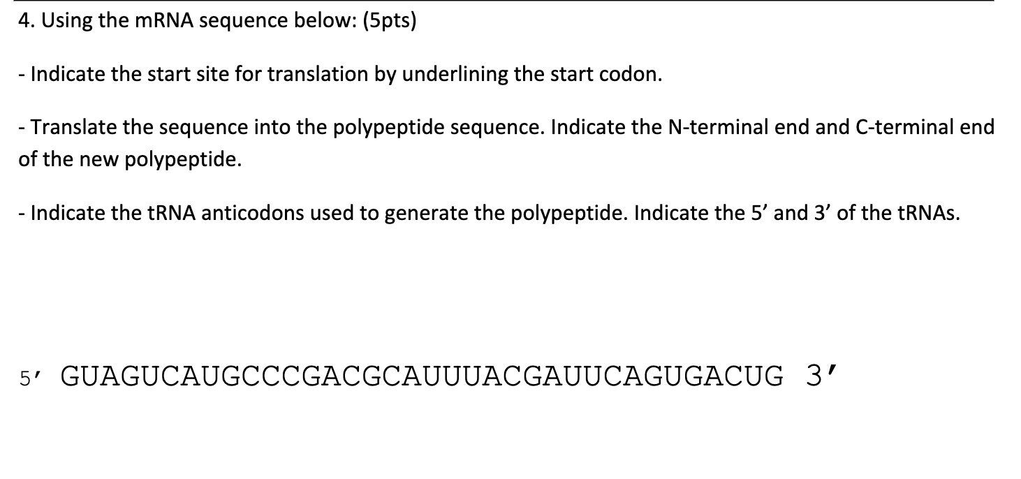 Solved 4. Using the mRNA sequence below: (5pts) - Indicate | Chegg.com