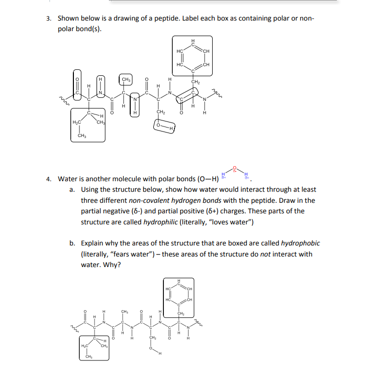 Draw in the partial negative (δ-) and partial | Chegg.com