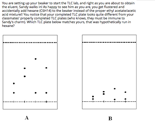 Solved You are setting up your beaker to start the TLC lab, | Chegg.com