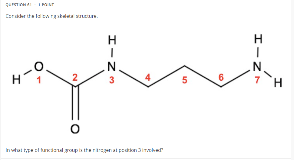 Solved QUESTION 53⋅1 POINT The molecular formula C2H8 can | Chegg.com