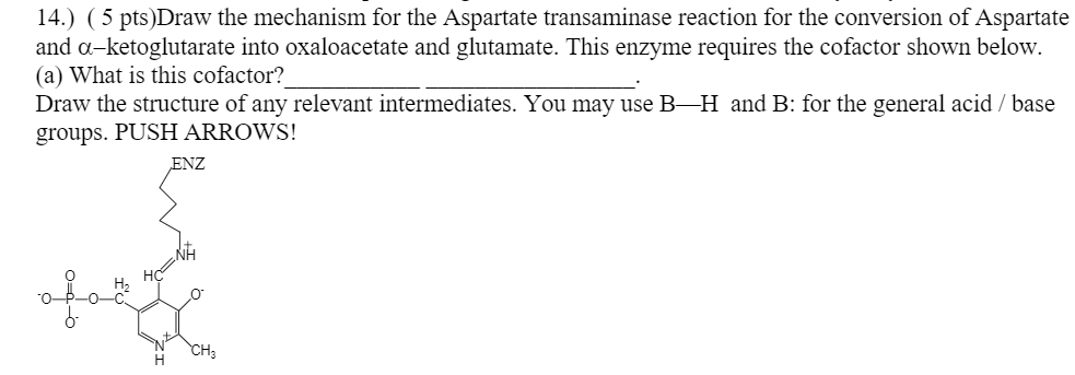 Solved 14.) (5 pts)Draw the mechanism for the Aspartate | Chegg.com