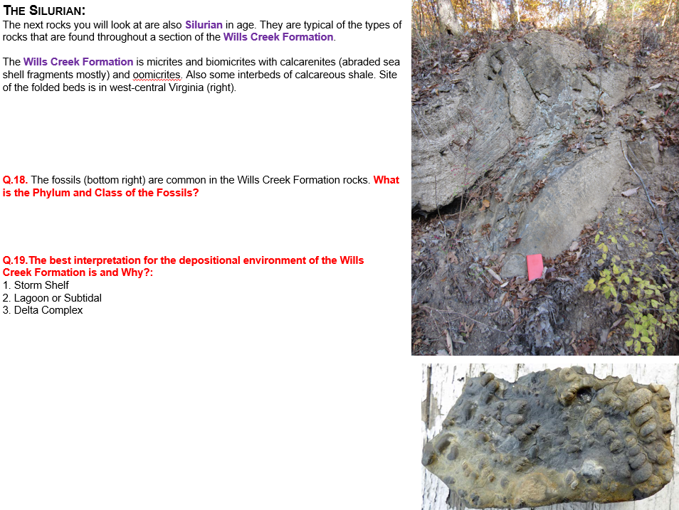 Solved THE SILURIAN: The next rocks you will look at are | Chegg.com