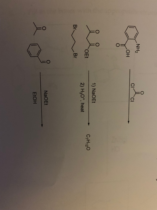 Solved NH2 Cl 1) NaOEt C,H120 OEt 2) H3O*, heat NaOEt EtoH | Chegg.com