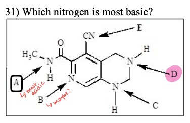 Solved 31) Which nitrogen is most basic? | Chegg.com