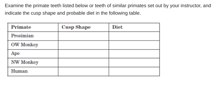 Solved Incisors Canine Premolars Molars 1 cm Examine the | Chegg.com