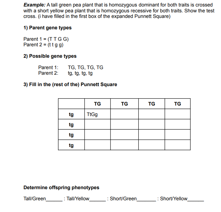 Solved Example: A tall green pea plant that is homozygous | Chegg.com
