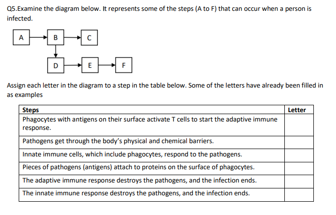 Solved Q5.Examine the diagram below. It represents some of | Chegg.com