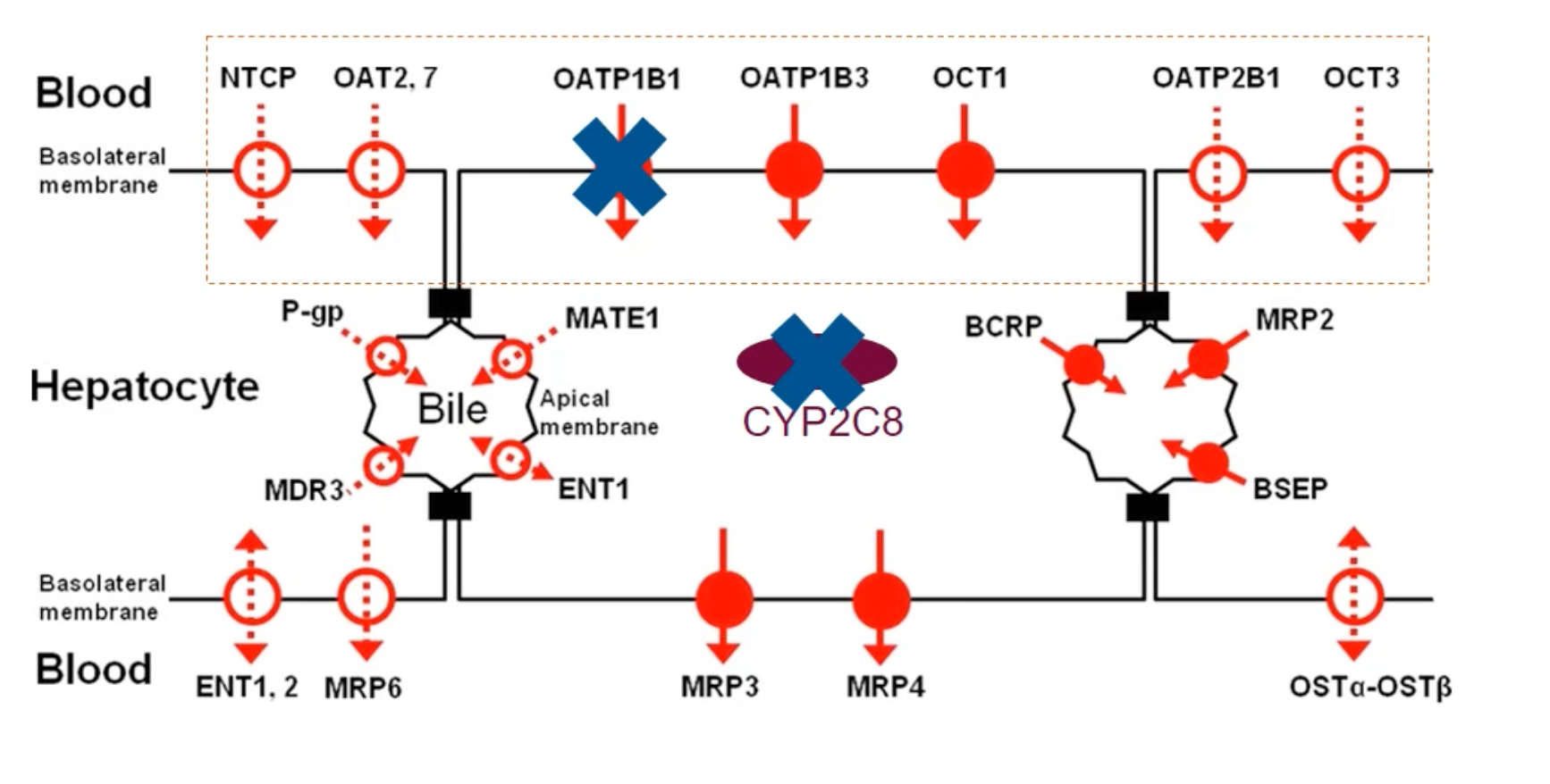 Solved Use the diagram above to help with you answers Q1a) | Chegg.com