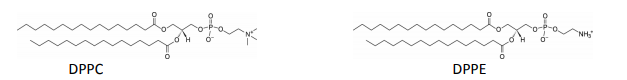 Solved The lipids DPPC and DPPE (shown below) differ only in | Chegg.com