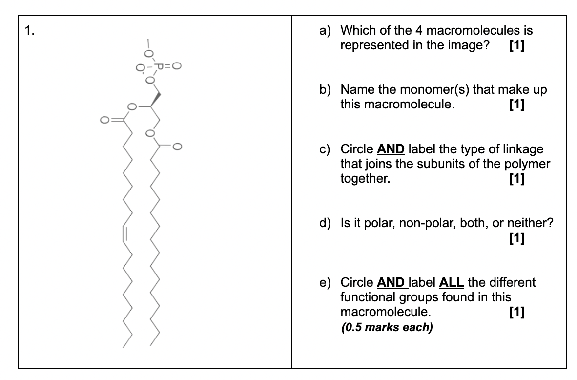 Solved a) Which of the 4 macromolecules is represented in | Chegg.com