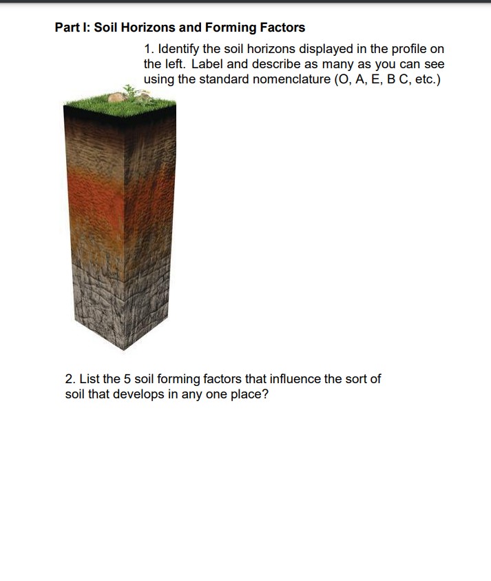 Solved Part I: Soil Horizons and Forming Factors 1. Identify | Chegg.com