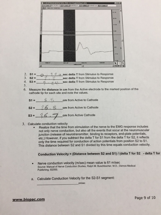 Solved 2. s 1:ー0-2 o a sec delta T from Stimulus to Response | Chegg.com