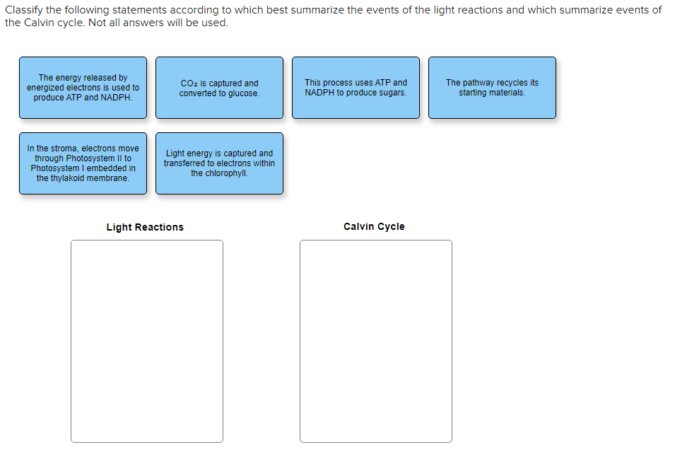 Solved Classify the following statements according to which | Chegg.com