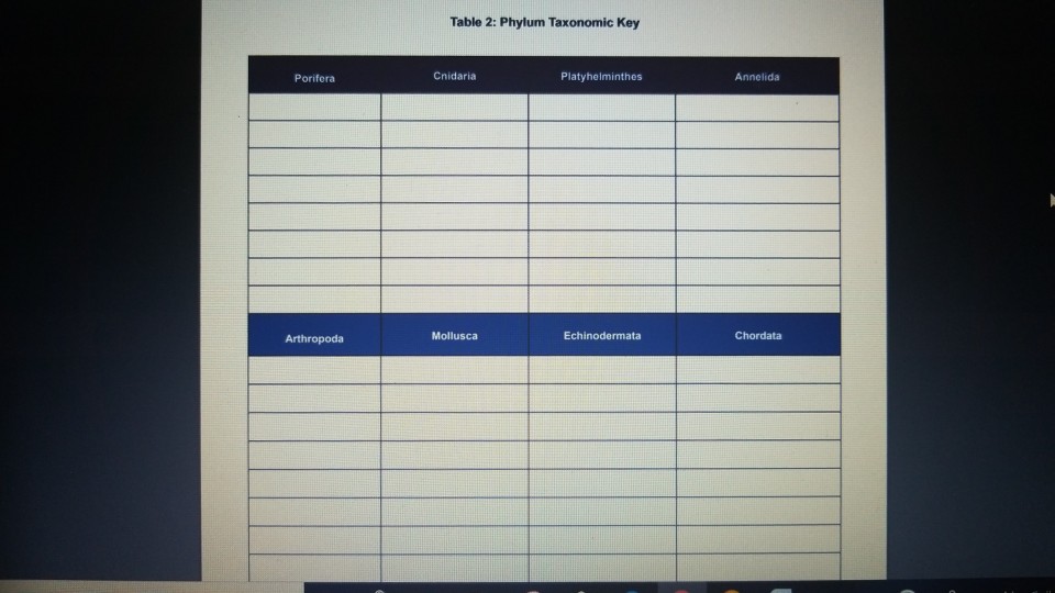 Solved Table 2: Phylum Taxonomic Key Porifera Cnidaria | Chegg.com
