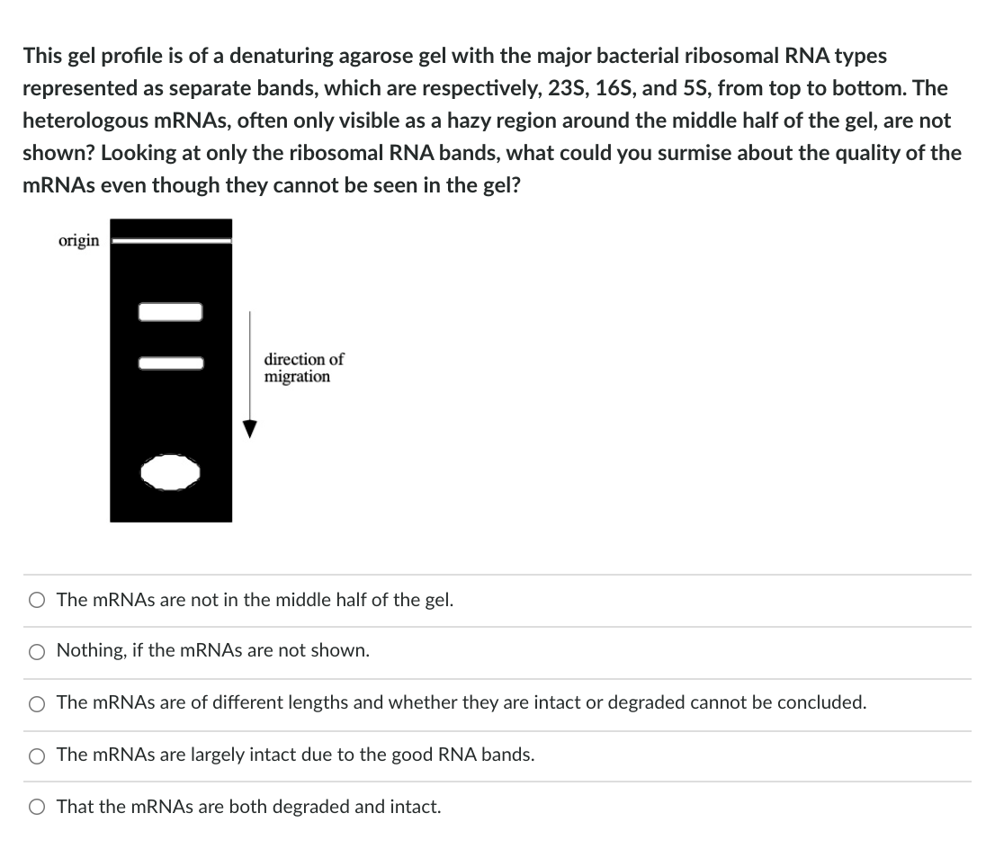 Solved The DNA sequence below is an open reading frame for a | Chegg.com