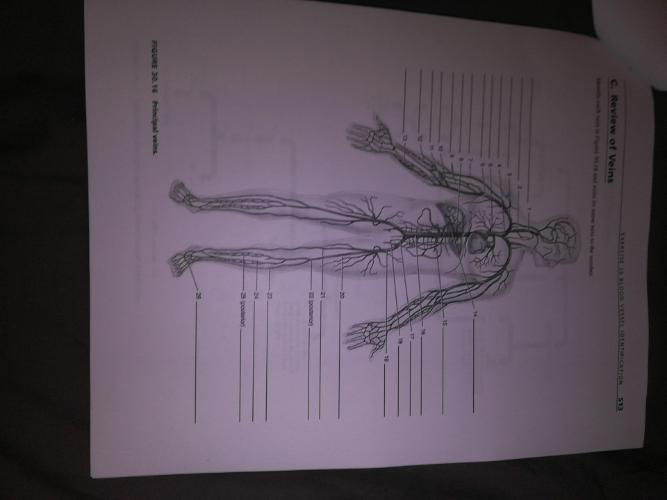 Solved Date Section Name Reviewing Your Knowledge EXERCISE | Chegg.com