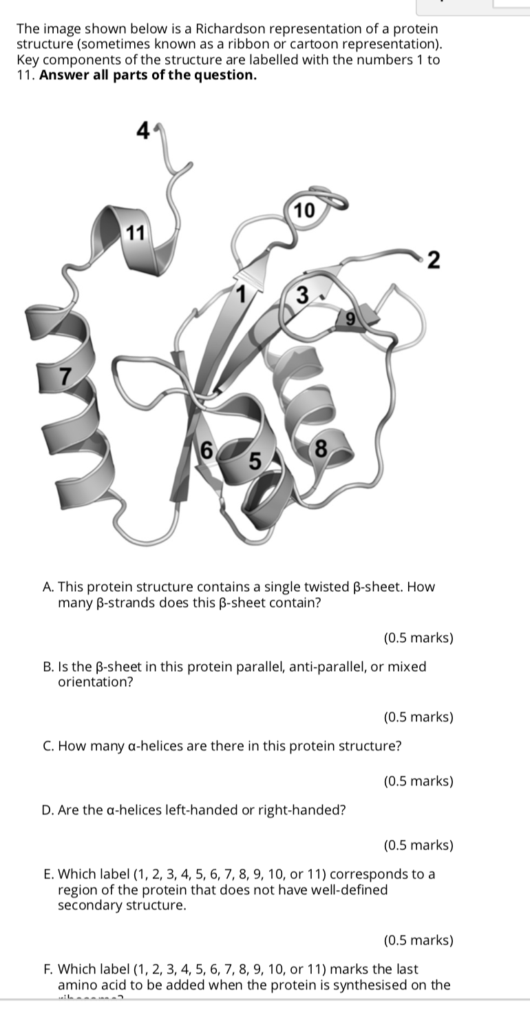 Solved The image shown below is a Richardson representation | Chegg.com