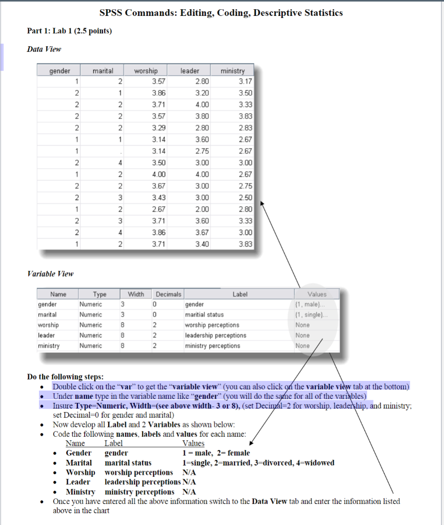 SPSS Commands: Editing, Coding, Descriptive | Chegg.com