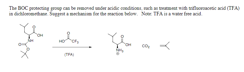 Solved The BOC protecting group can be removed under acidic | Chegg.com