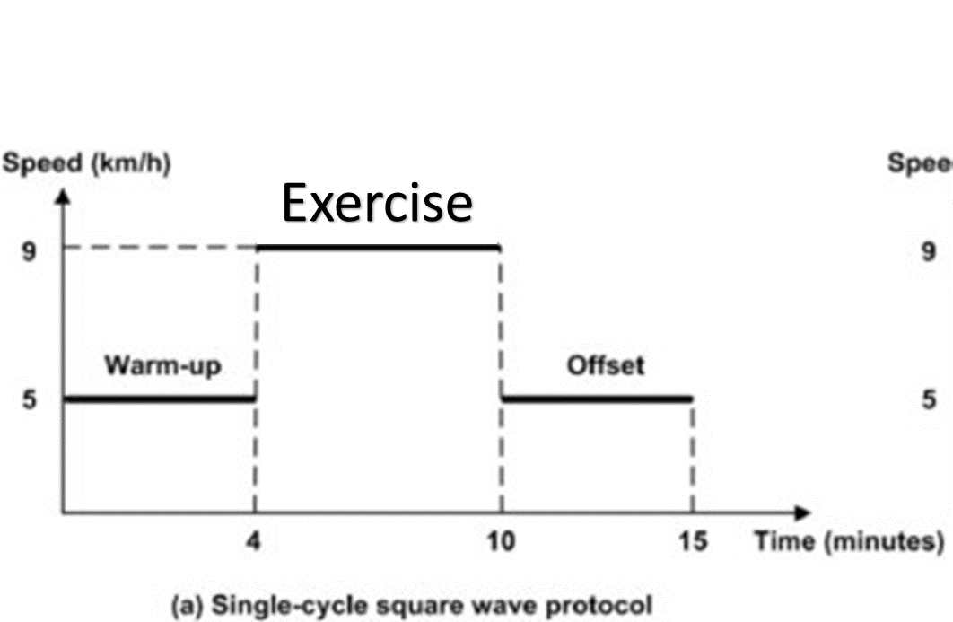 Solved Is the EXERCISE segment below in the attachment | Chegg.com