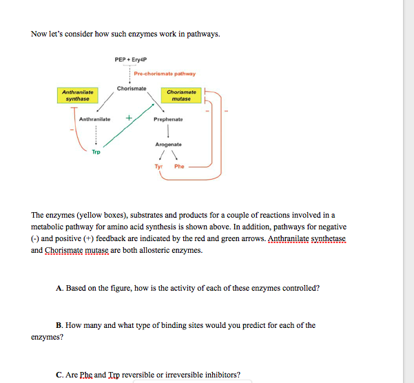 Solved 6. Allosteric Enzymes can switch between two | Chegg.com