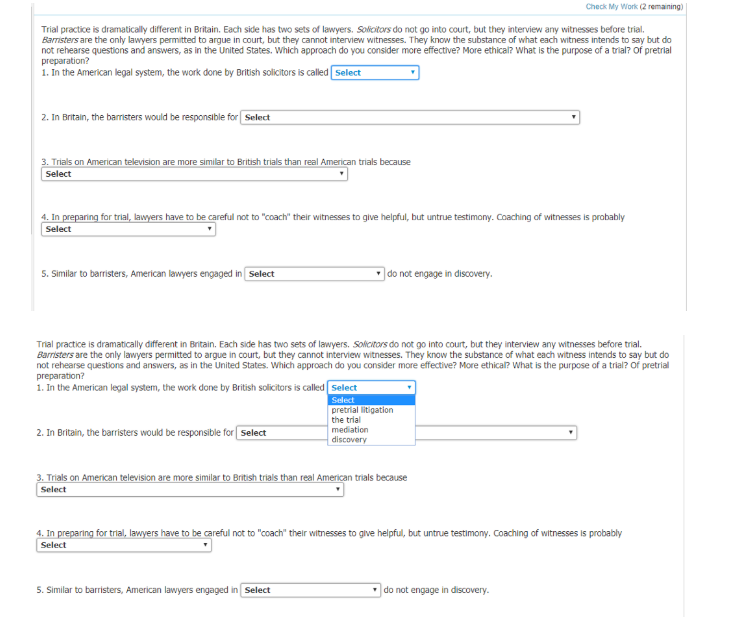 Solved Check My Work (2 remaining) Trial practice is | Chegg.com