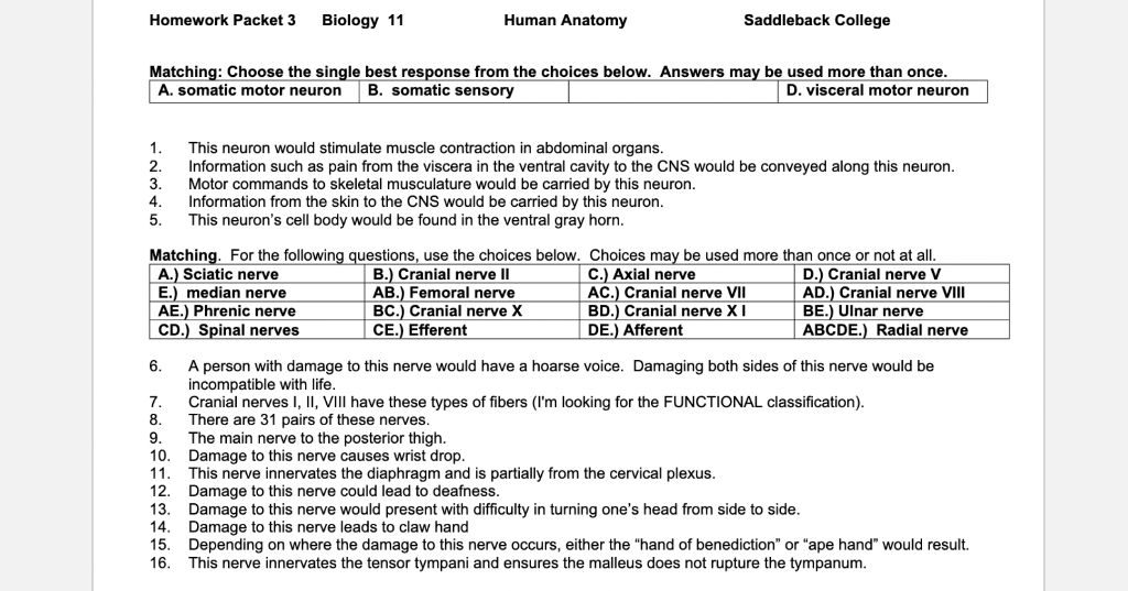 Solved Homework Packet 3 Biology 11 Human Anatomy Saddleback | Chegg.com