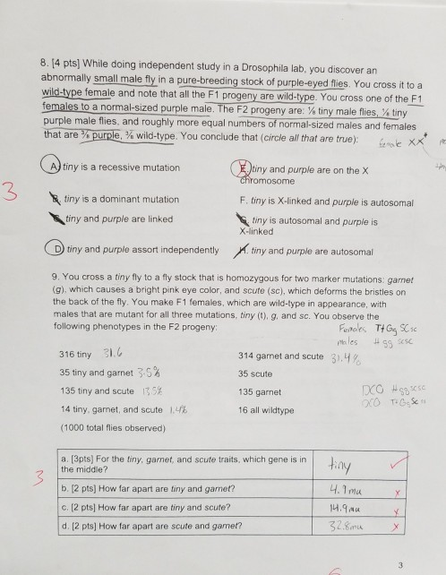 Solved + 160 [1 pt] At what stage of the meiotic cell cycle | Chegg.com