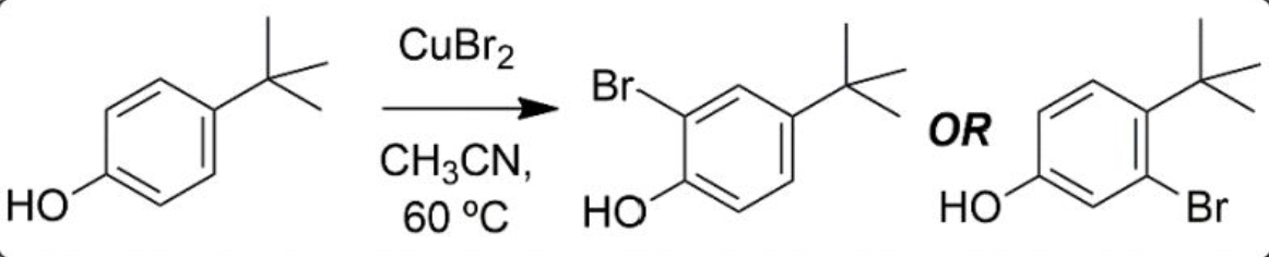 Solved Which product forms preferentially in this reaction? | Chegg.com