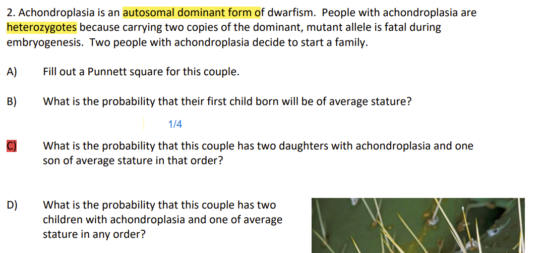 Solved 2. Achondroplasia is an autosomal dominant form of | Chegg.com