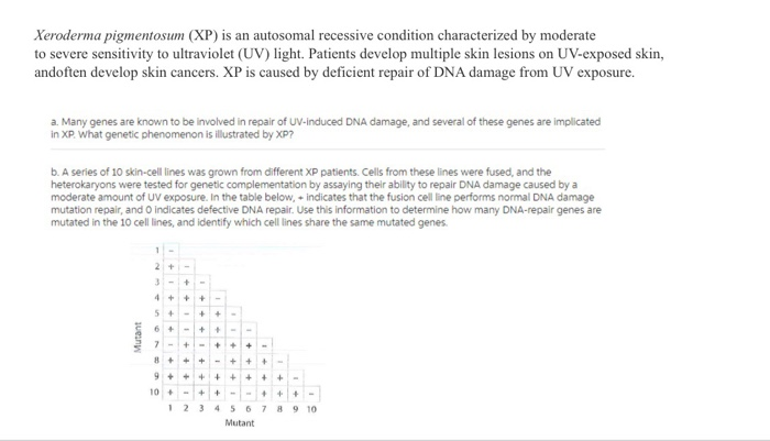 Solved Xeroderma pigmentosum (XP) is an autosomal recessive | Chegg.com