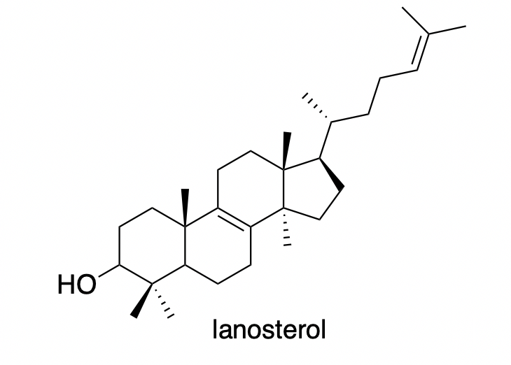 Solved Lanosterol is a tetracyclic triterpenoid and is the | Chegg.com