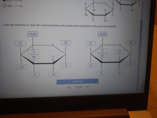 Solved label ths structures to show the monosaccharide units | Chegg.com