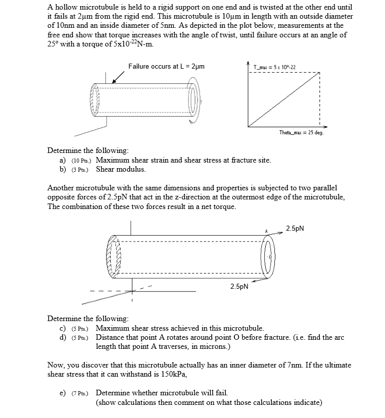 Solved A hollow microtubule is held to a rigid support on | Chegg.com