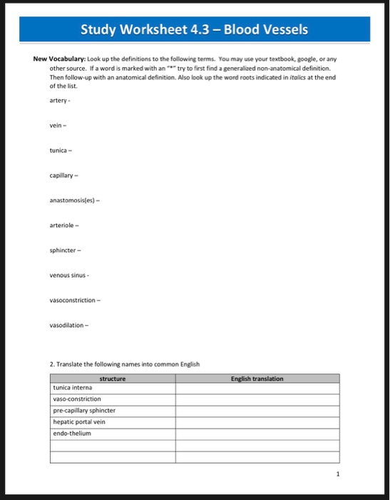 Blood Vessels Worksheet