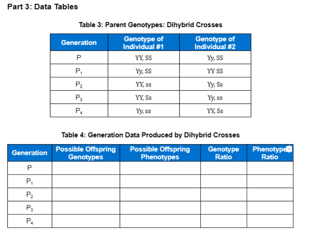 Solved Can you fill out the table for these dihybrid | Chegg.com