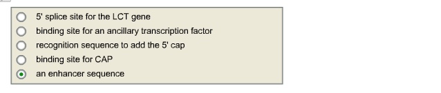 Solved In humans the LCT gene encodes the enzyme lactase | Chegg.com
