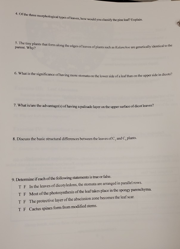 Solved Laboratory Review Questions and Problems The Leaf | Chegg.com