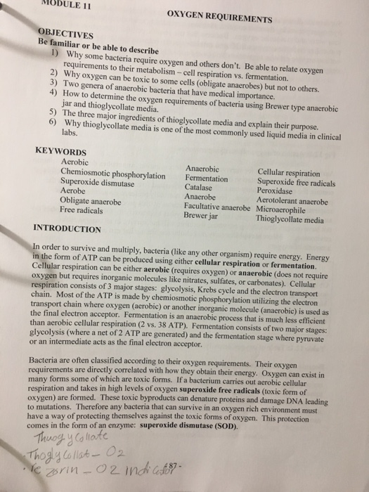 Solved MODULE 11 OXYGEN REQUIREMENTS OBJECTIVES Be familiar | Chegg.com