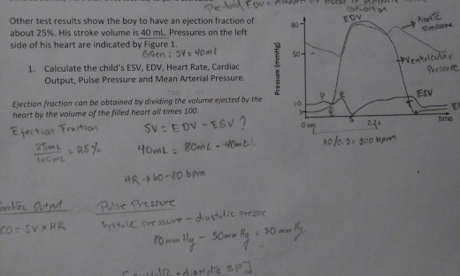 Solved How do you find the End diastolic volume (EDV) and | Chegg.com