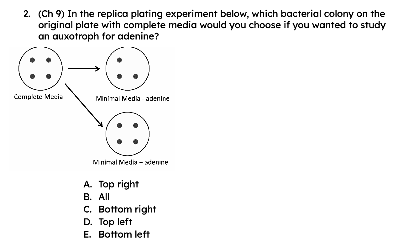 Solved 2. (Ch 9) In the replica plating experiment below, | Chegg.com