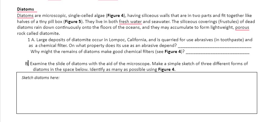 Solved Figure 5. A freshwater diatom. The siliceous covering | Chegg.com