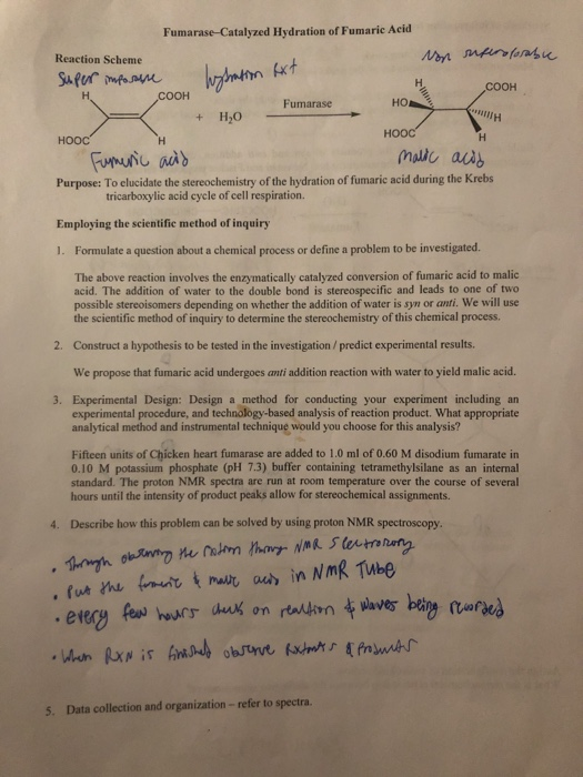 Fumarase-Catalyzed Hydration of Fumarie Acid Reaction | Chegg.com