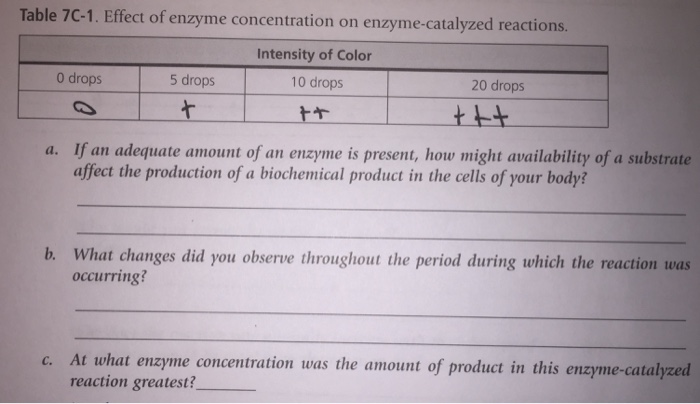 Solved Table 7C-1. Effect of enzyme concentration on | Chegg.com
