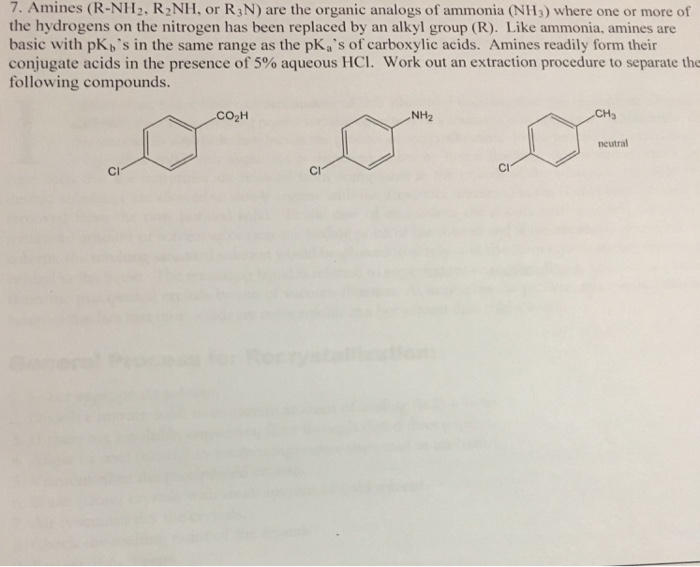 Solved 7. Amines (R-NH2. R2NH, or R3N) are the organic | Chegg.com