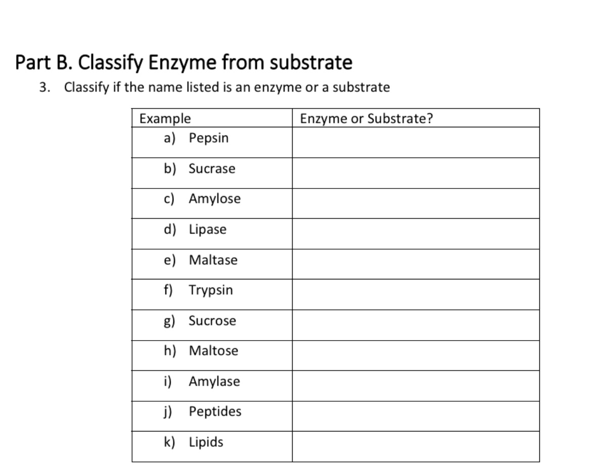 Solved Part B. Classify Enzyme from substrate 3. Classify if | Chegg.com