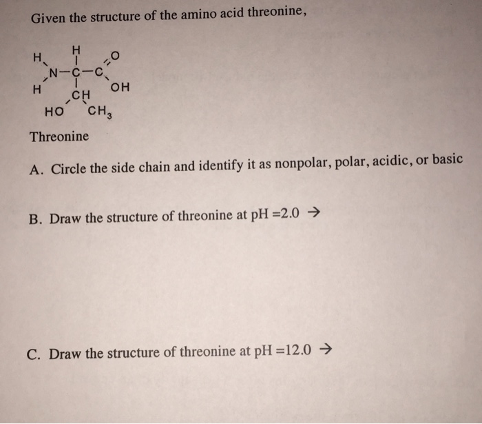 Solved Given the structure of the amino acid threonine, A. | Chegg.com