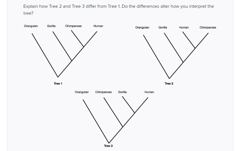 Solved Explain how Tree 2 and Tree 3 differ from Tree 1. Do | Chegg.com